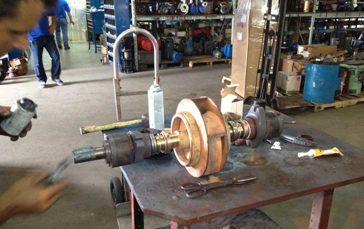 Pumps & Electric Motors